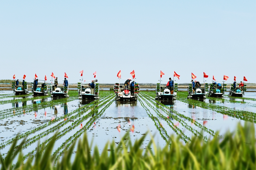 黑龙江北大荒春耕忙 “无人驾驶”插秧机唱主角 - 首页幻灯片 - 中工网
